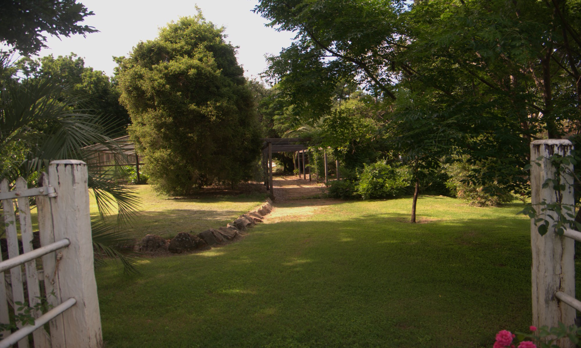 Thom Blake Historian - Taabinga Homestead